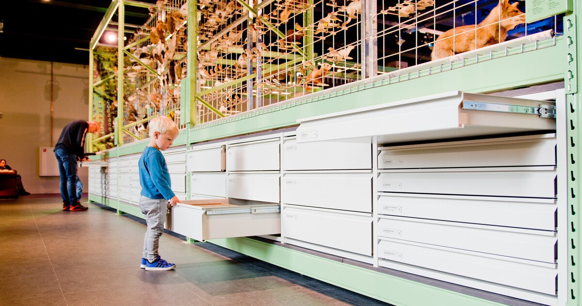 Naturalis Biodiversity Center, The Netherlands | Bruynzeel